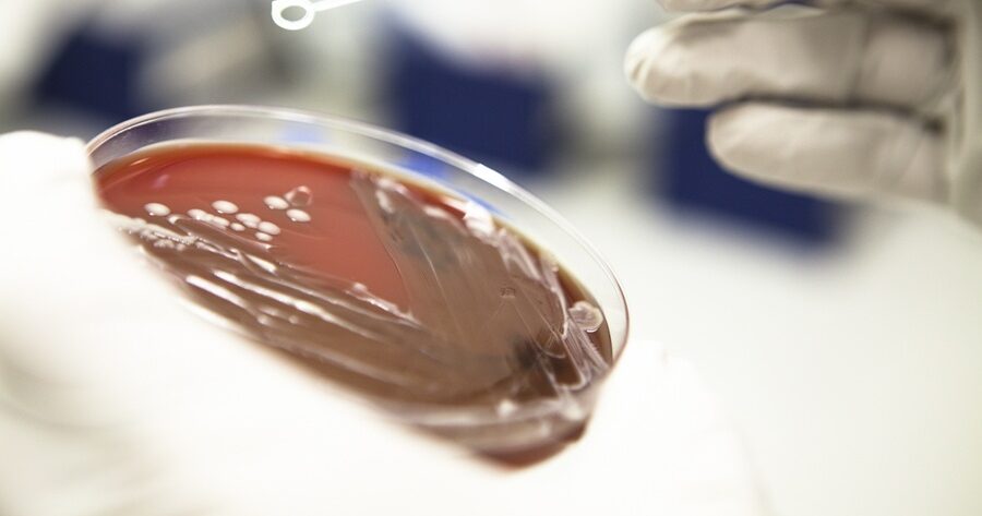 Research for better evidence - Meningitis Research Foundation