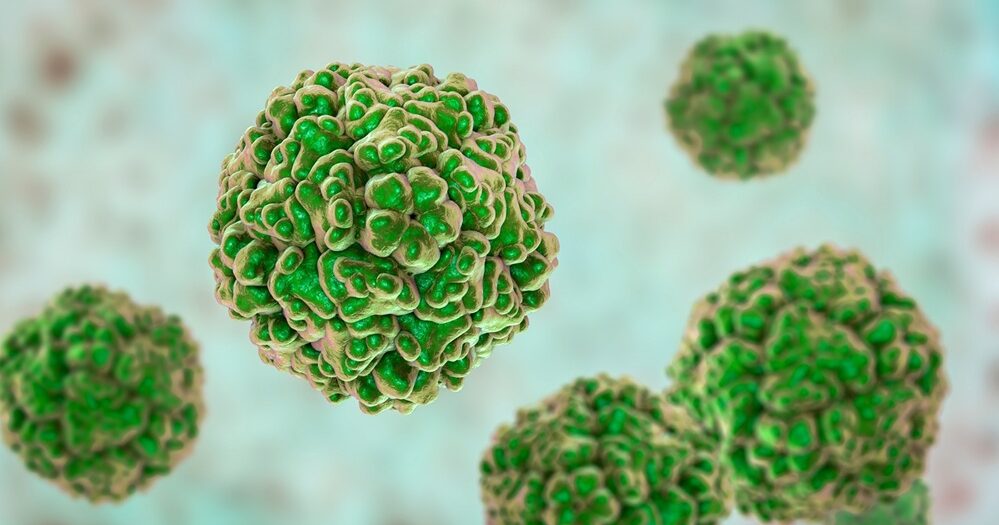 What is viral meningitis? - Meningitis Research Foundation